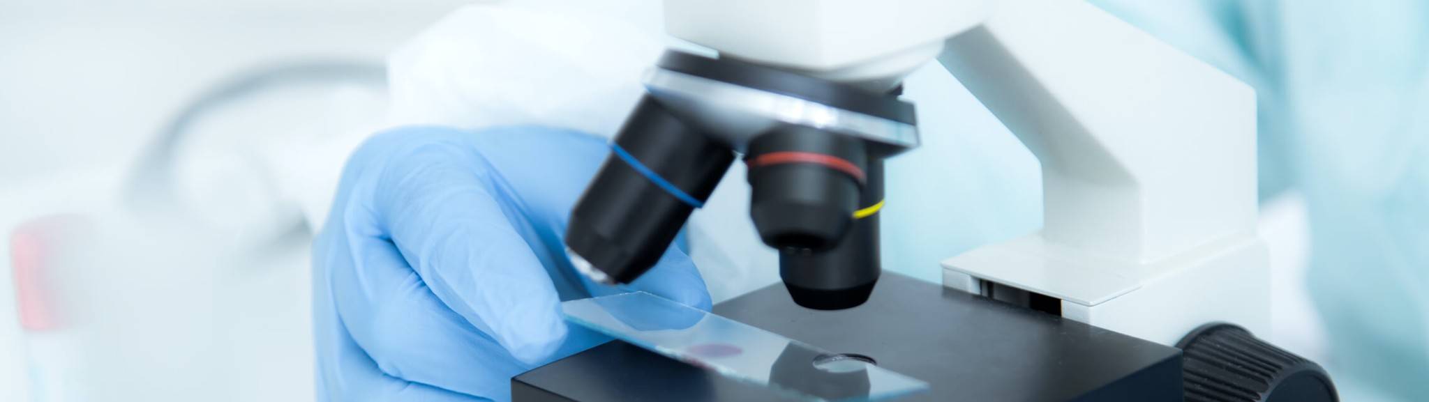 Clinical Laboratory & Pathology - Hong Kong Adventist Hospital – Stubbs ...